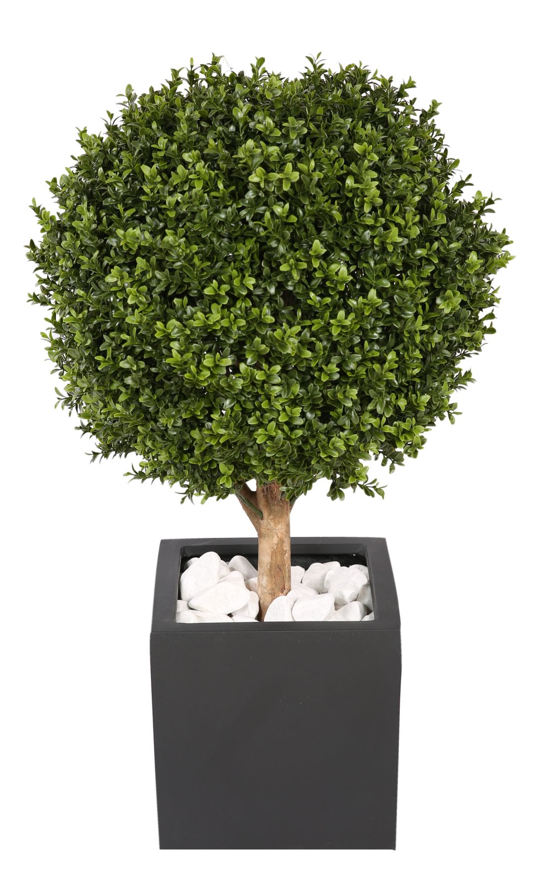 Kyoto Boxwood (Buchsbaum) Kunstpflanze Tanaman | TANAMAN A PT9 FB7